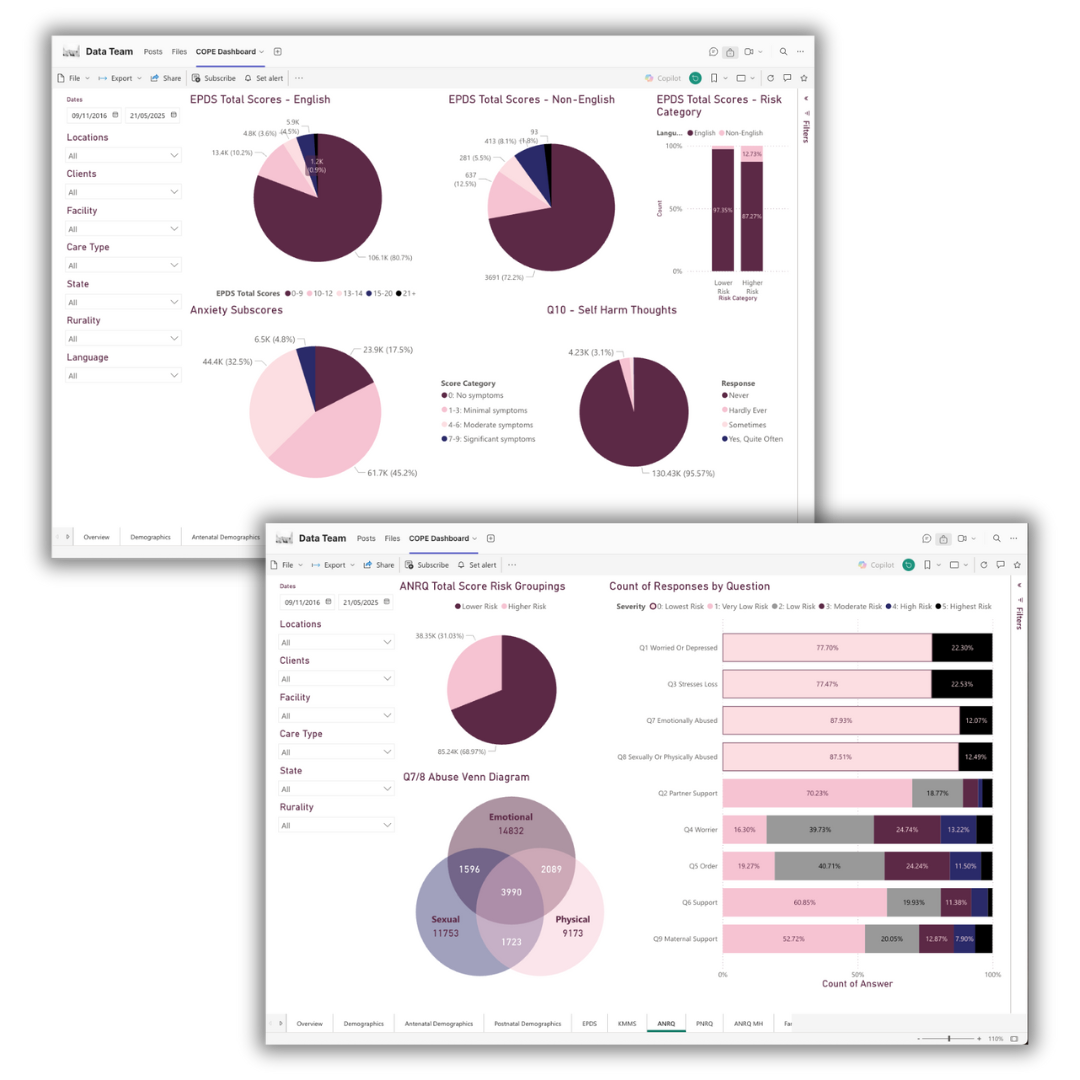 Data Dashboard – iCOPE Digital Screening Platform